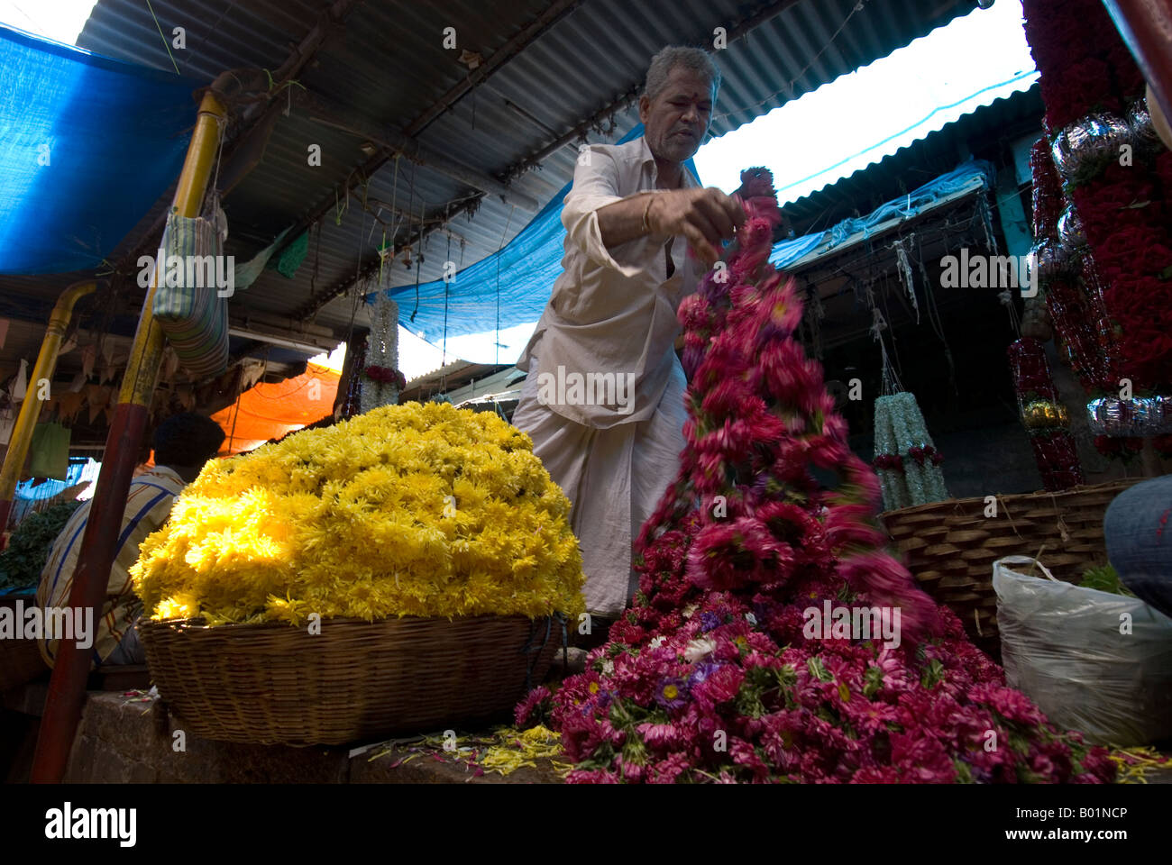 Devaraja fruit and vegetable market. Mysore India Stock Photo - Alamy