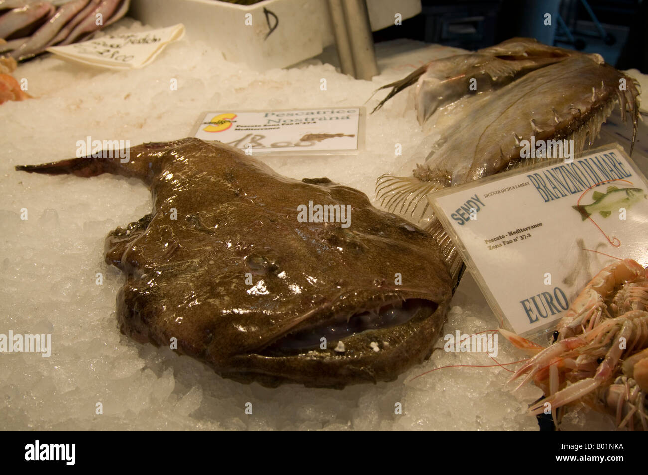Marche venise hi-res stock photography and images - Alamy