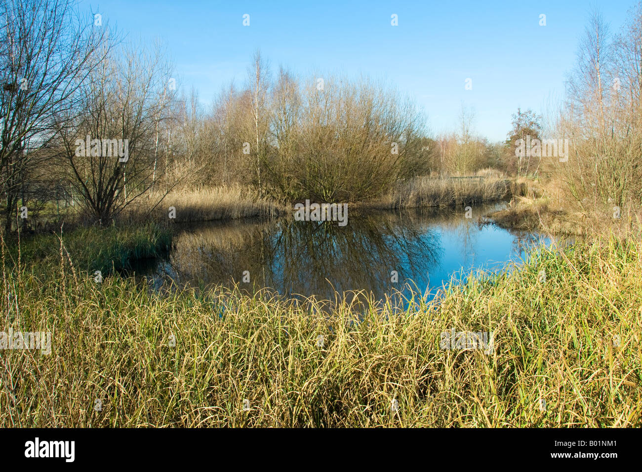Wetlands Barnes High Resolution Stock Photography and Images - Alamy