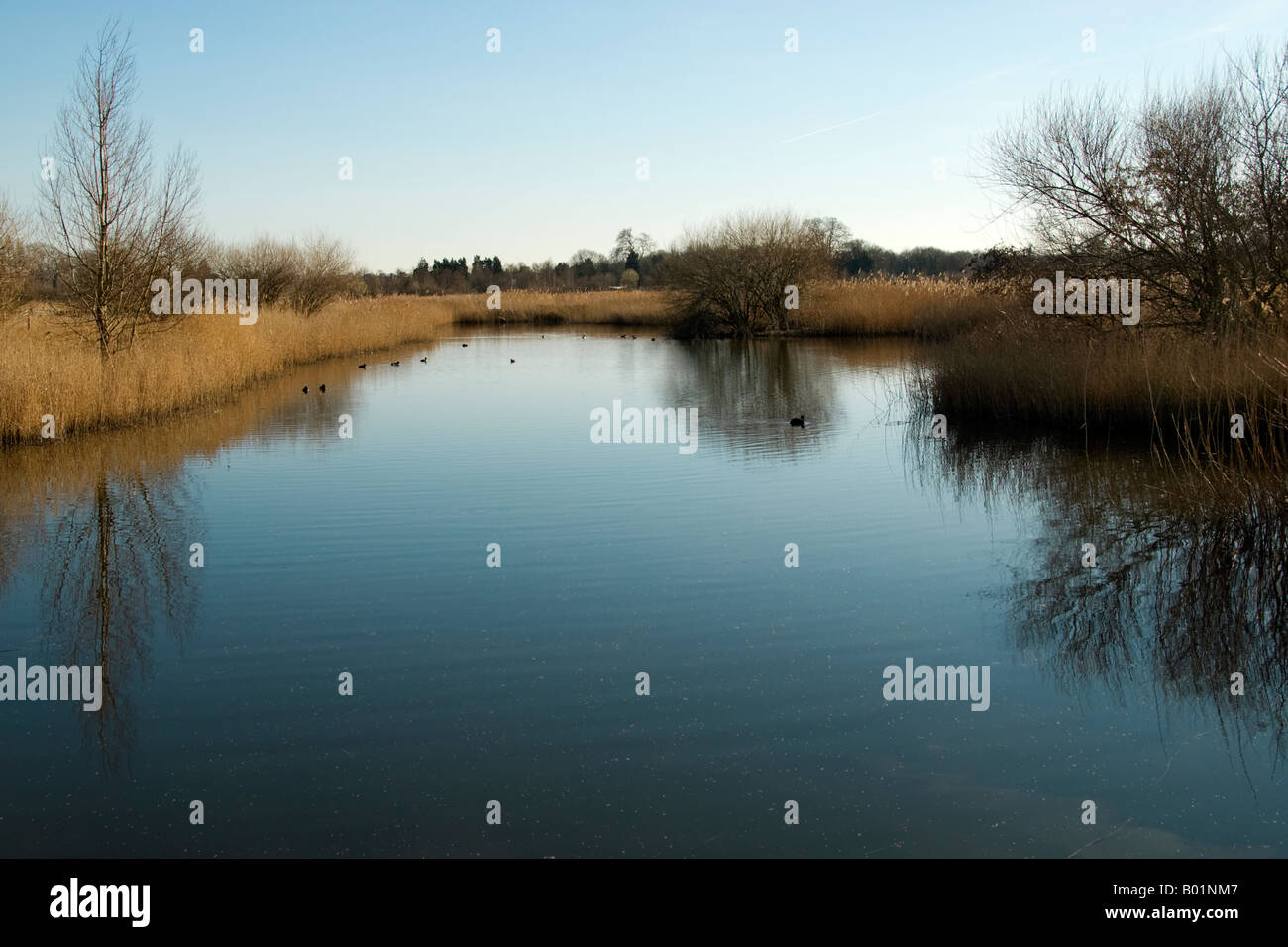 Wetlands barnes hi-res stock photography and images - Alamy