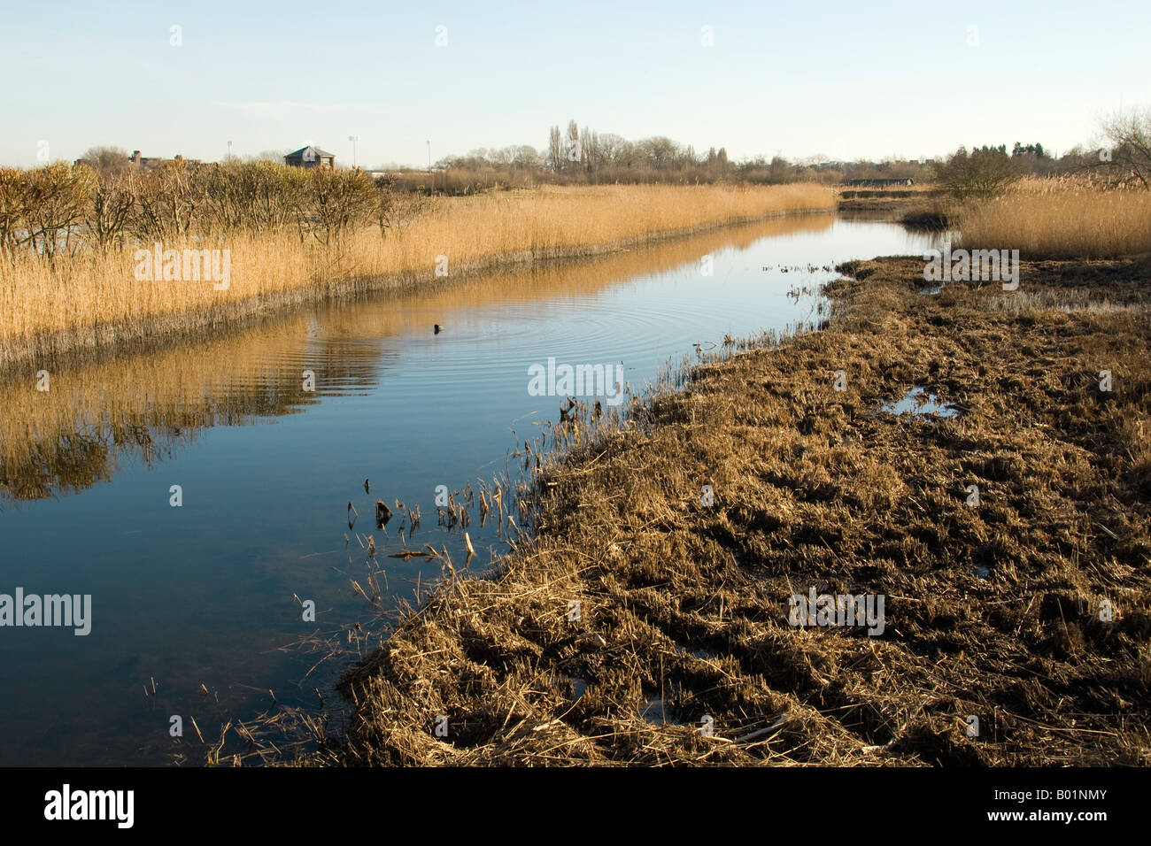 Wetlands barnes hi-res stock photography and images - Alamy