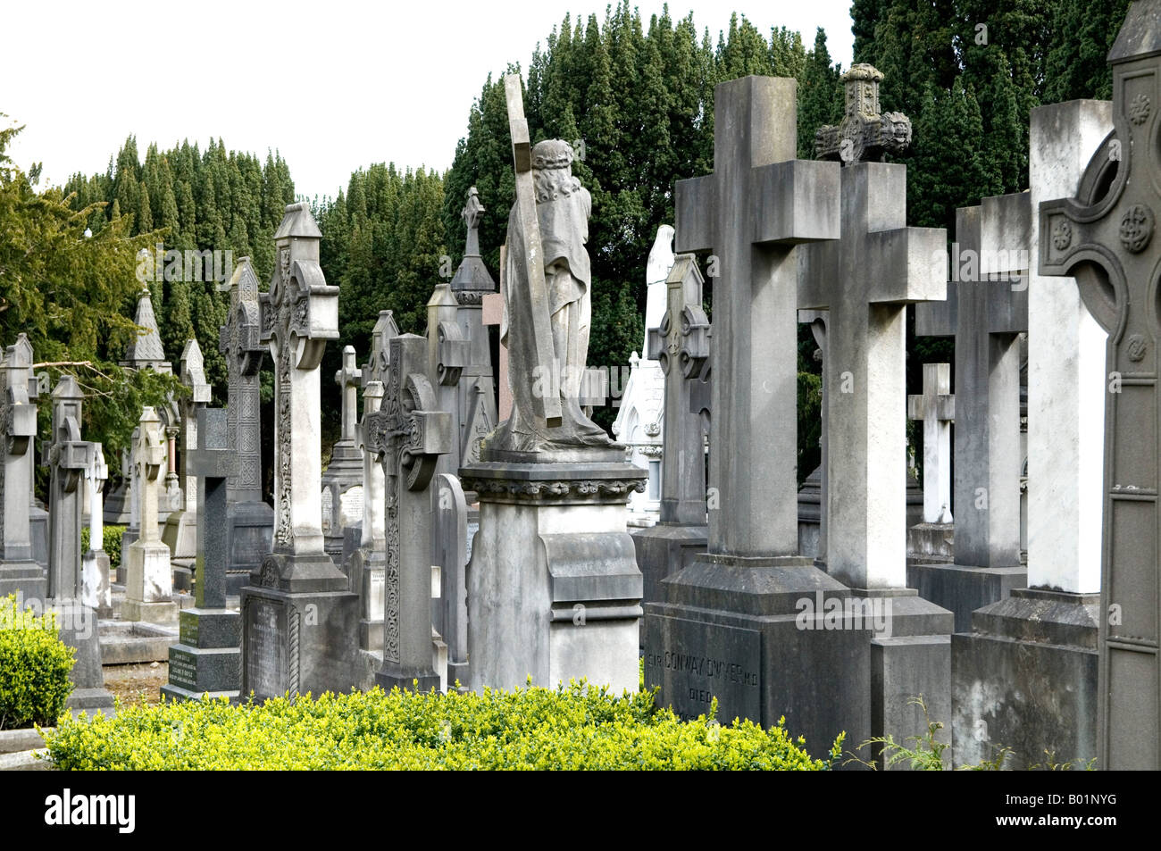 The graves at Prospect cemetery Glasnevin Dublin Ireland are crowded ...