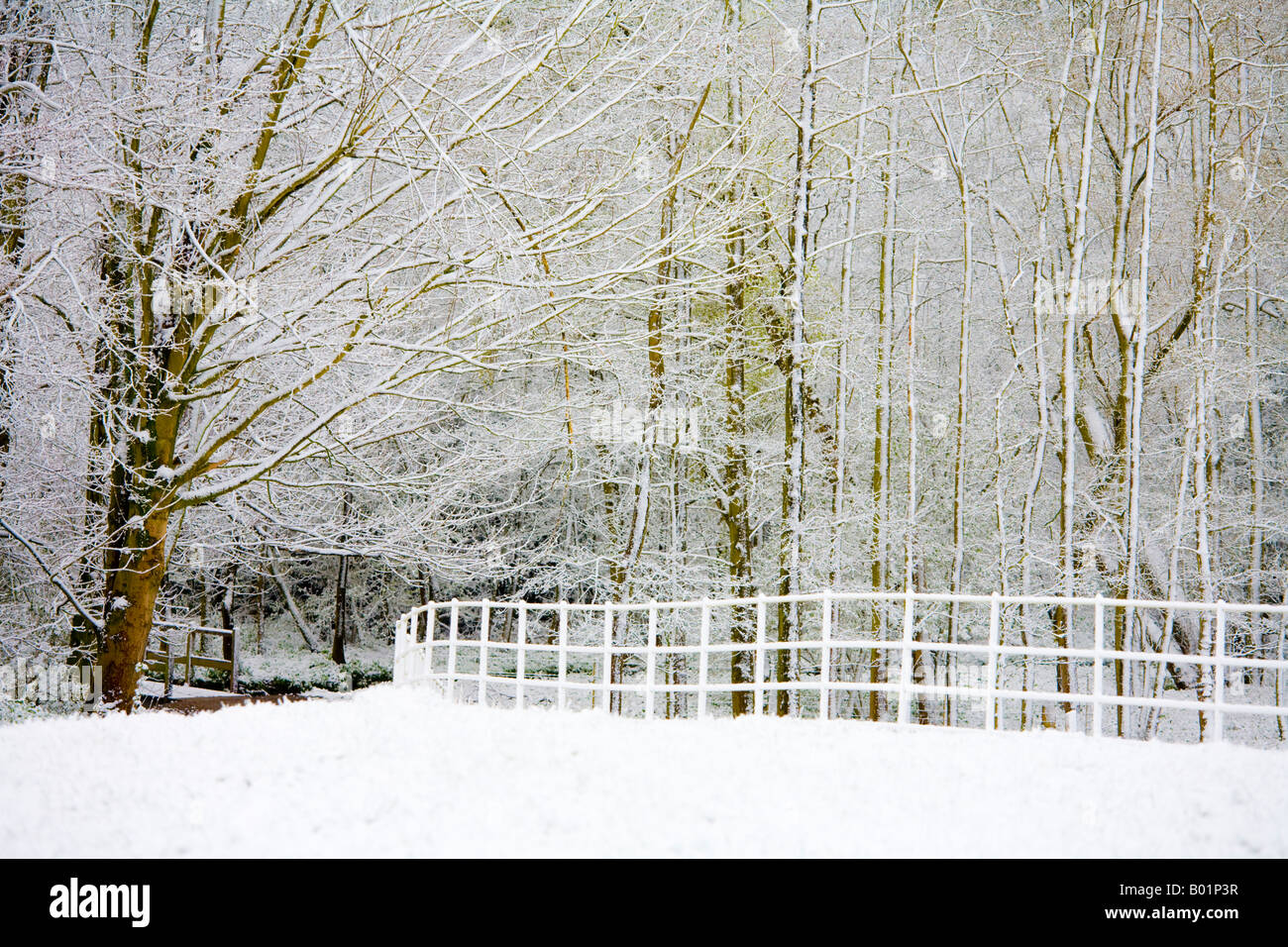 Lydiard Park Swindon with snow Stock Photo - Alamy