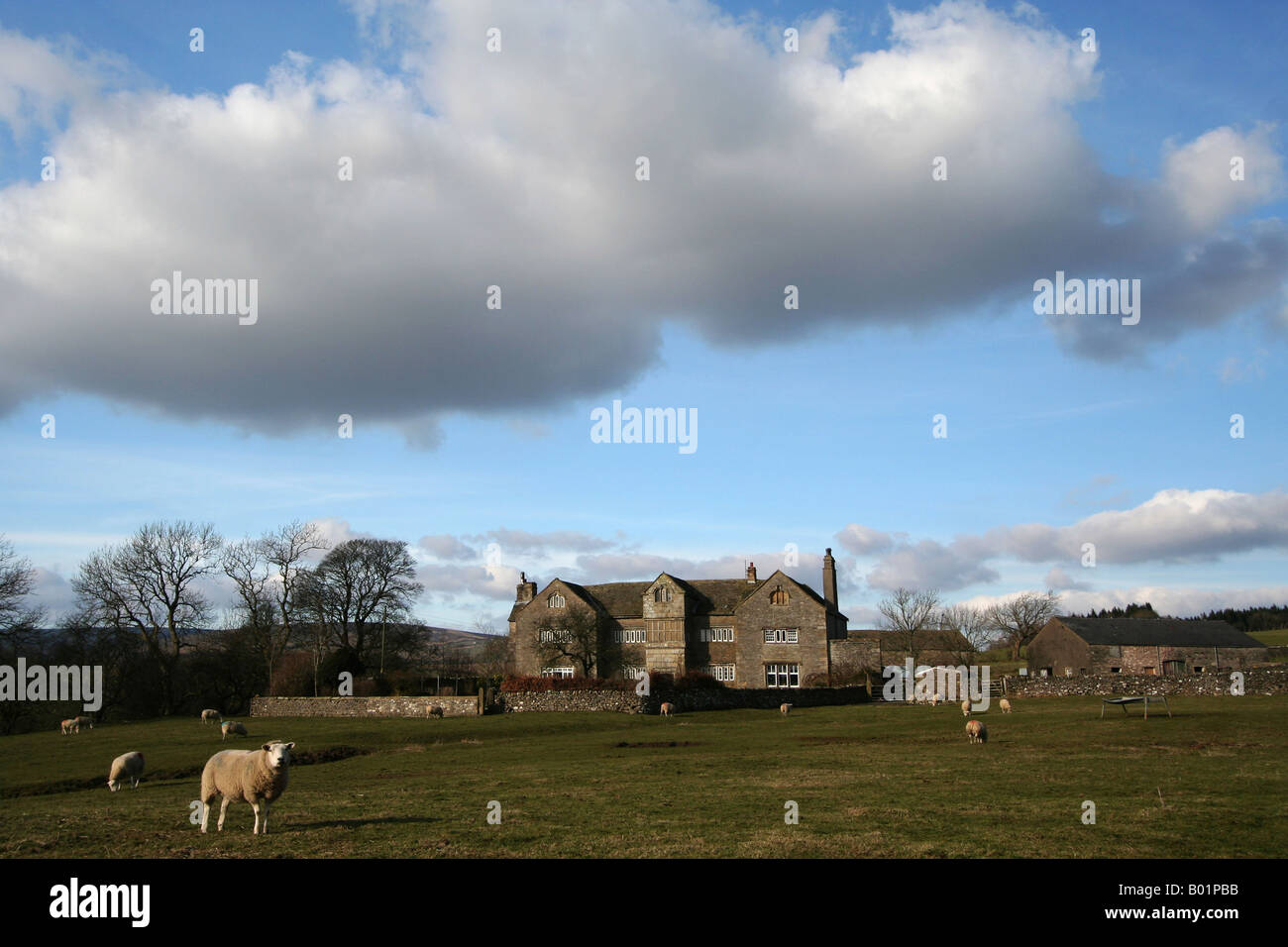 Forest bowland near slaidburn hi-res stock photography and images - Alamy