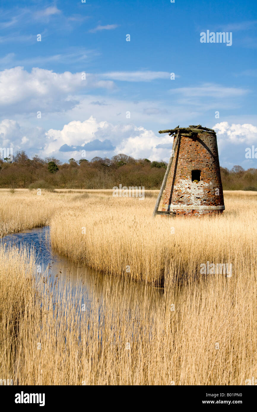 Walberswick Nature reserve Stock Photo - Alamy