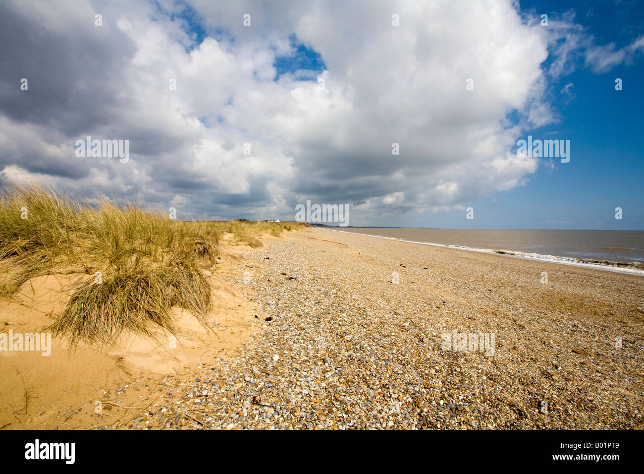 Suffolk shingle beach Stock Photo - Alamy