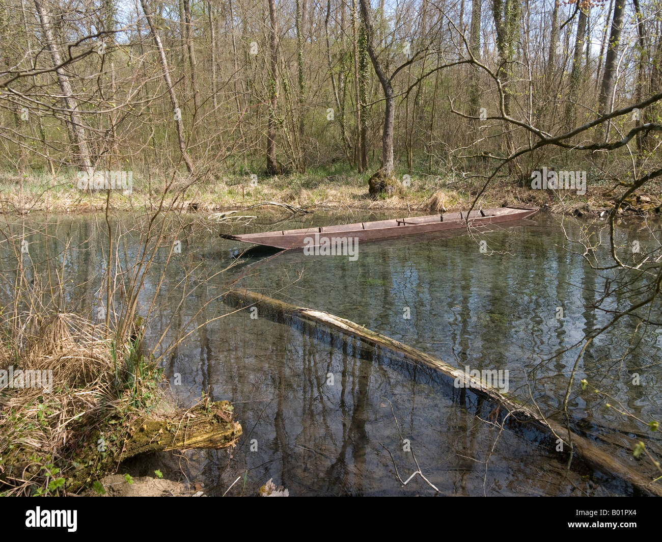 creek of the river Rhine pond in fen in the floodplain forest of thr ...