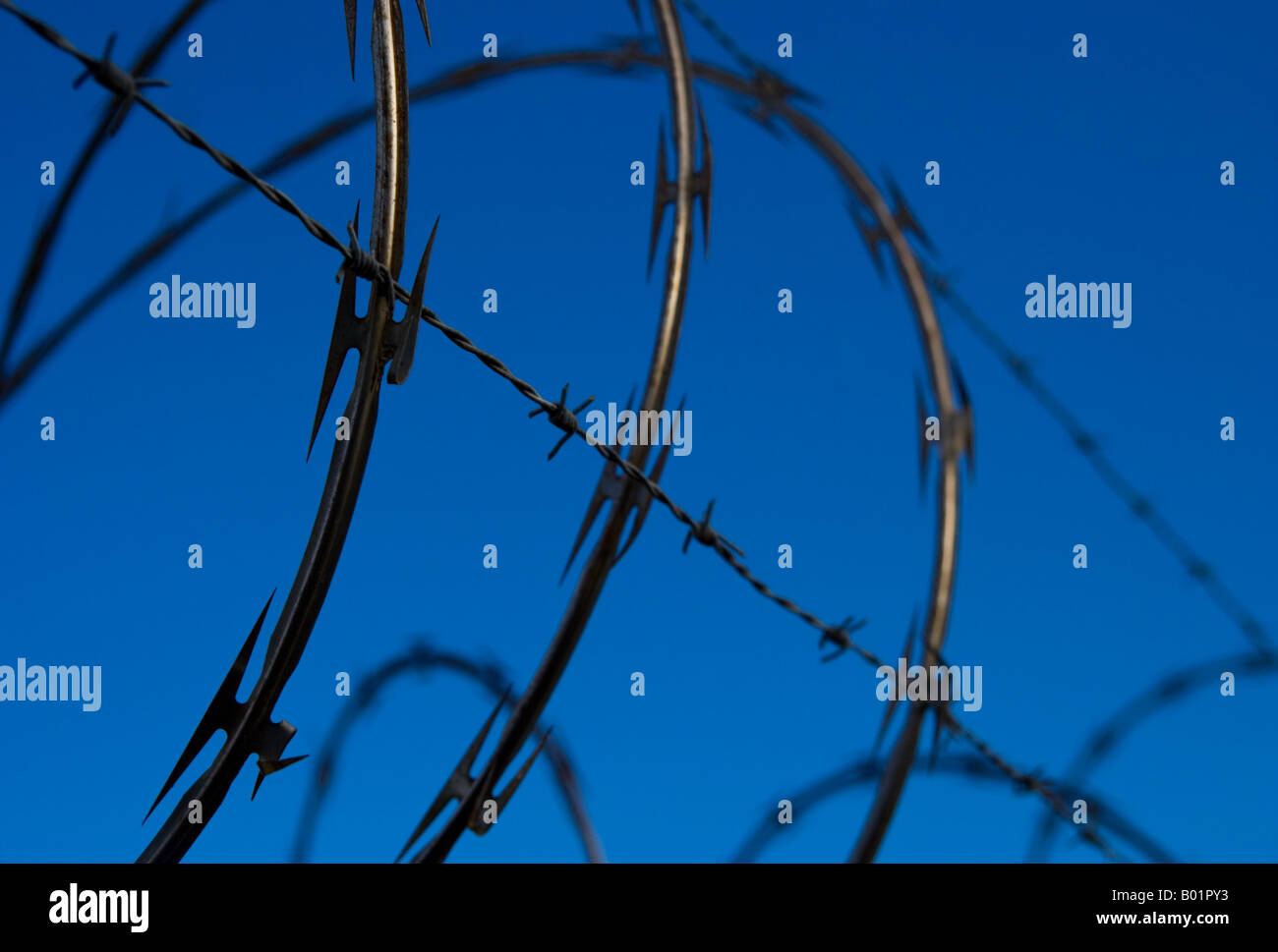 Barbed wire and ribbon hi-res stock photography and images - Alamy