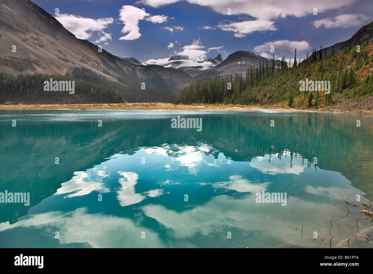 Dimply hi-res stock photography and images - Alamy