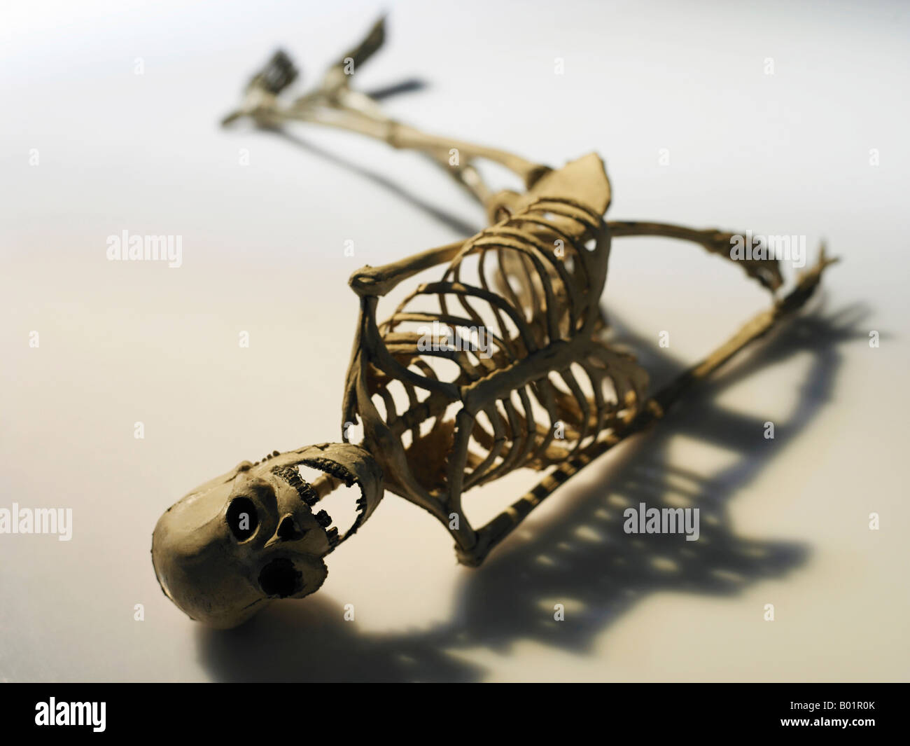 Close up shot of skeleton stretching Stock Photo - Alamy