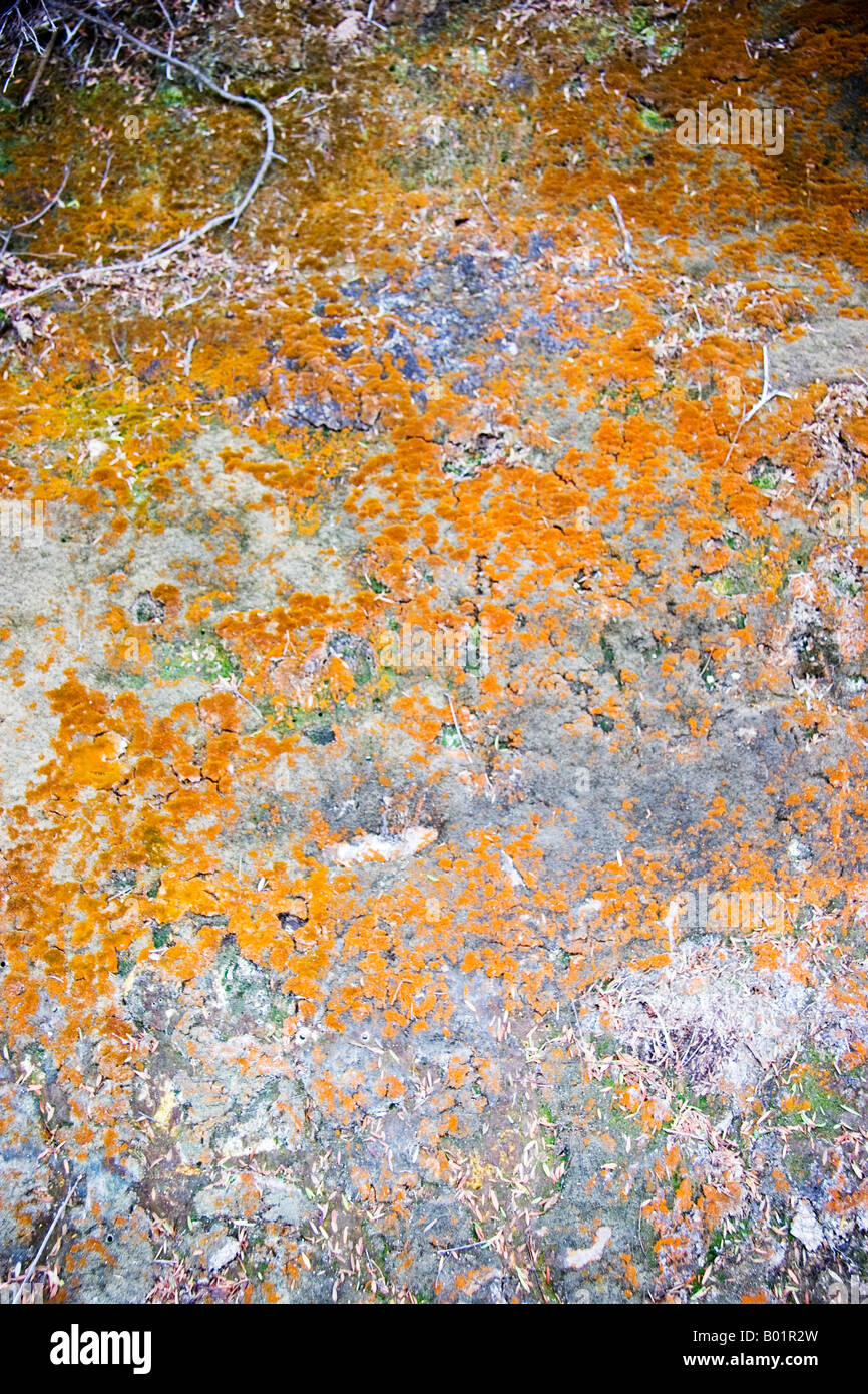 Close up of rocks Wai O Tapu thermal area New Zealand Stock Photo - Alamy