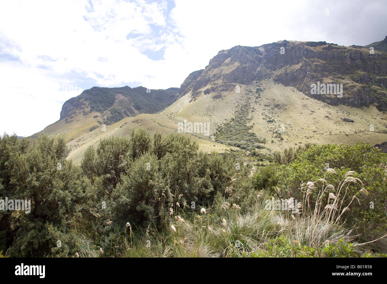 Papallacta pass mountain view, cloudy, 4000m altitude,Ecuador ...