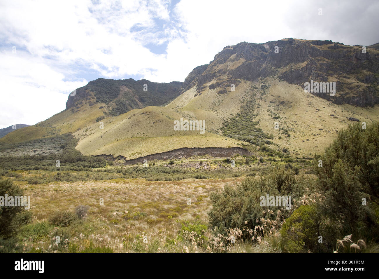 Papallacta pass mountain view, cloudy, 4000m altitude,Ecuador ...