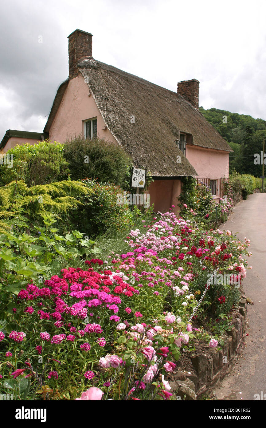 Somerset Selworthy Rose Cottage Stock Photo - Alamy