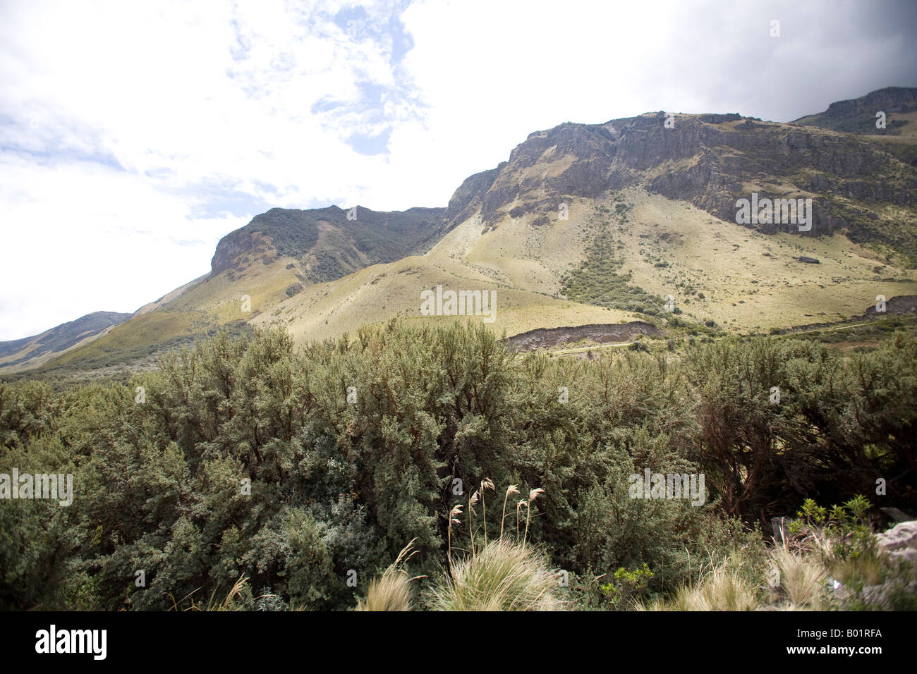 Papallacta pass mountain view, cloudy, 4000m altitude,Ecuador ...