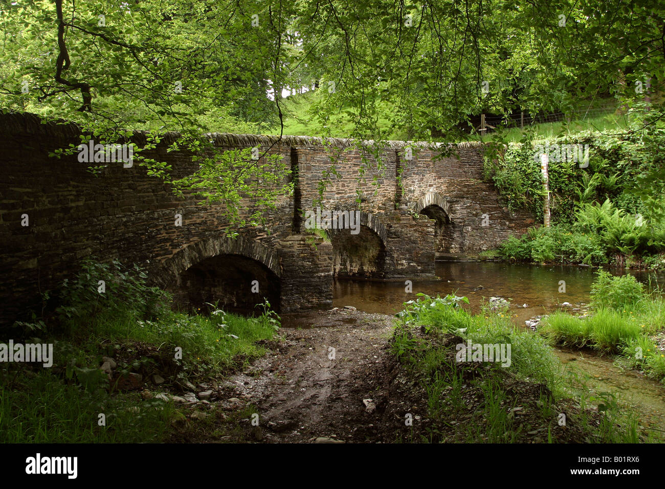 UK Somerset Simonsbath River Barle Stock Photo - Alamy