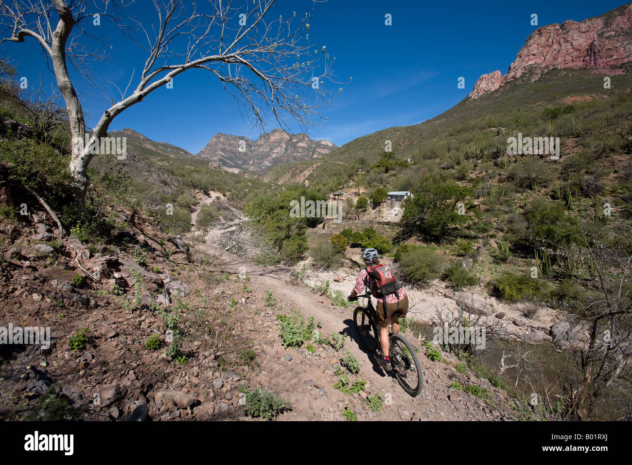 Rachel Schmidt mountain biking from Batopilas to Cerro Colorado in the ...