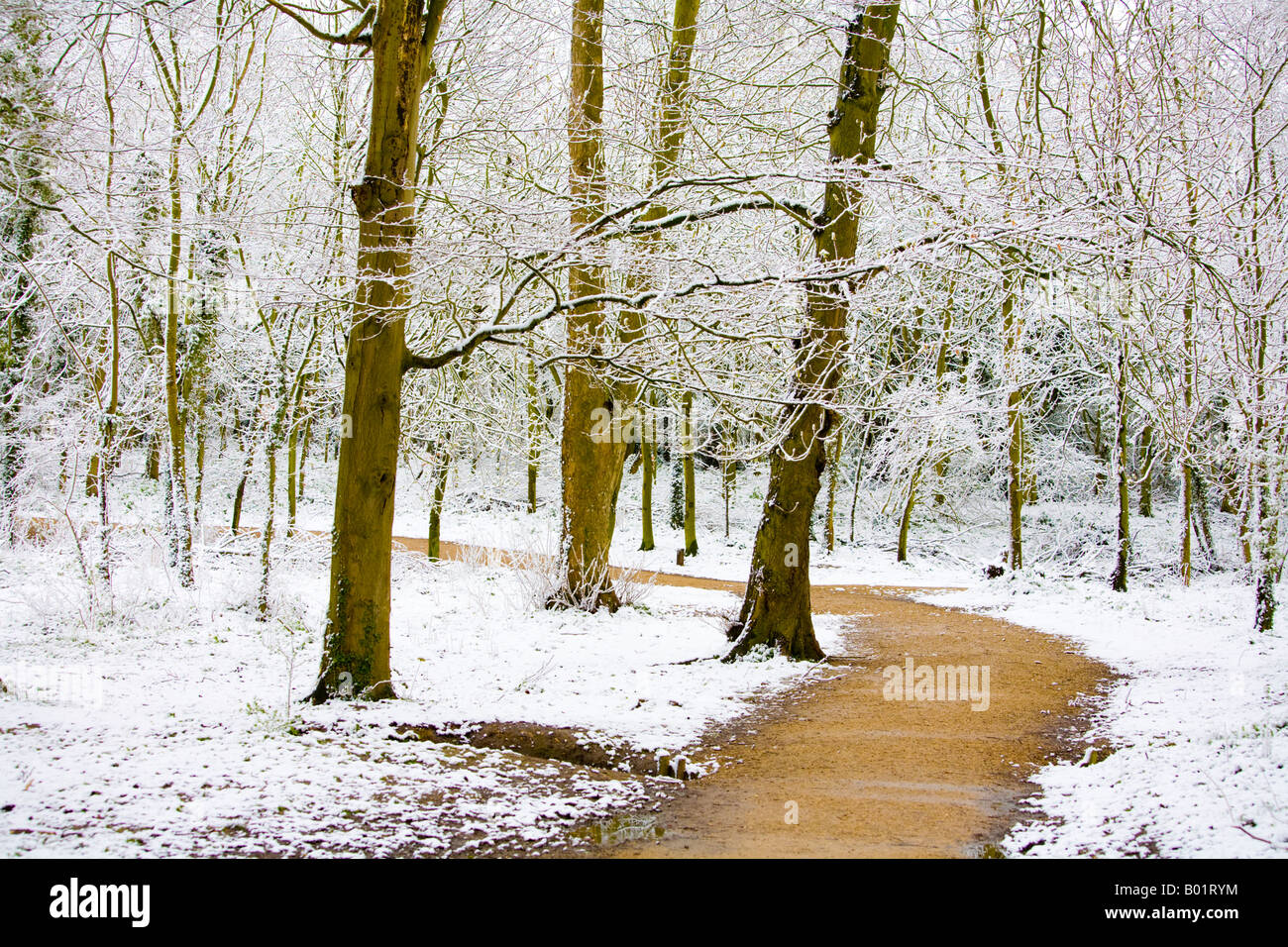 Lydiard Park Swindon with snow Stock Photo - Alamy