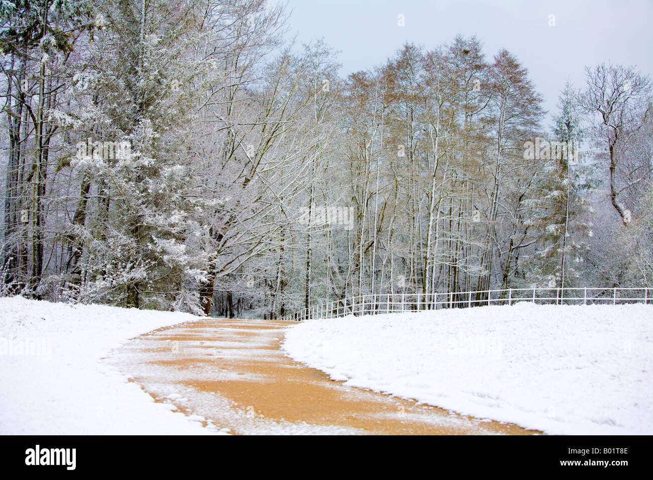 Lydiard Park Swindon with snow Stock Photo - Alamy