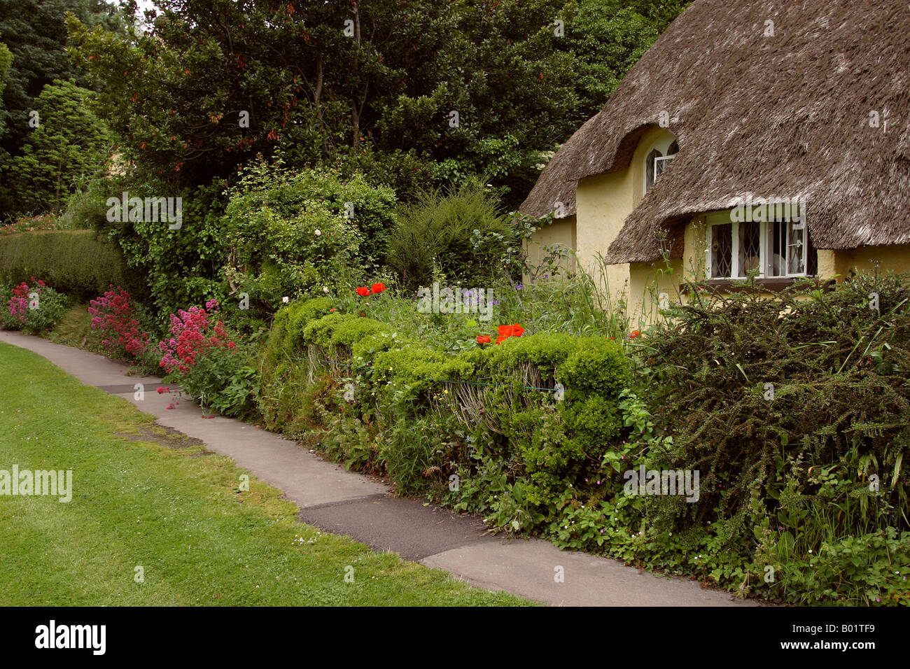 UK Exmoor Somerset Selworthy idyllic thatched cottage and garden Stock ...
