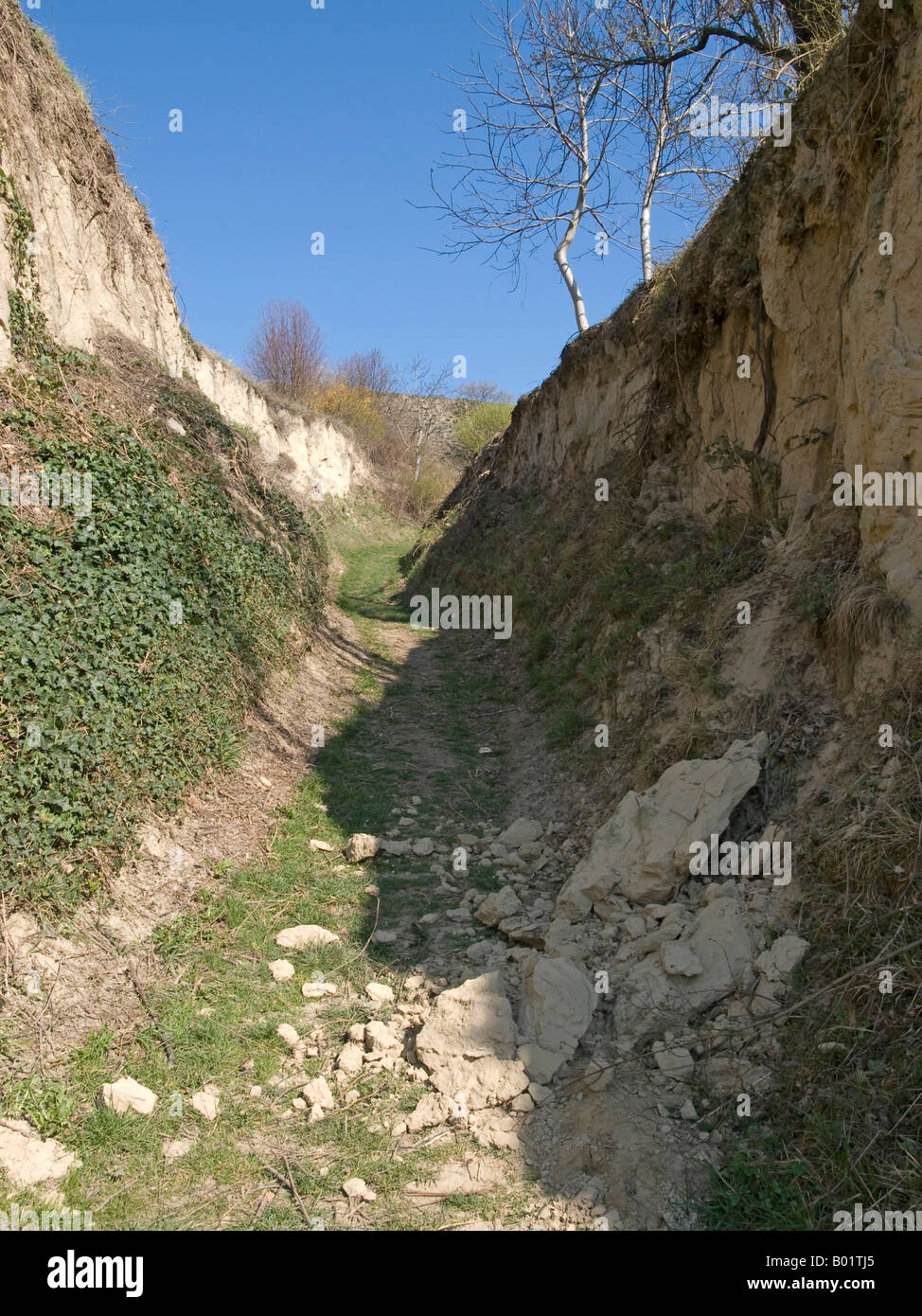 Loess soil hi-res stock photography and images - Alamy