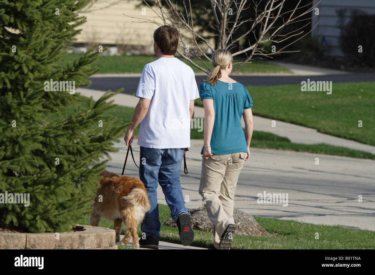two people walking dog in suburbs Stock Photo - Alamy
