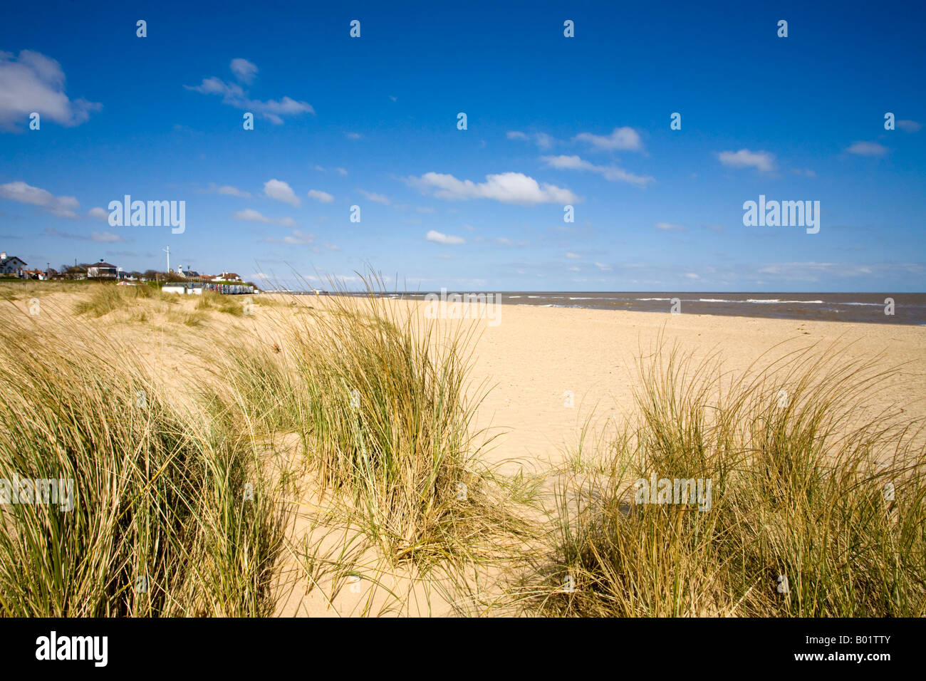 Sand Dunes on beach Stock Photo - Alamy