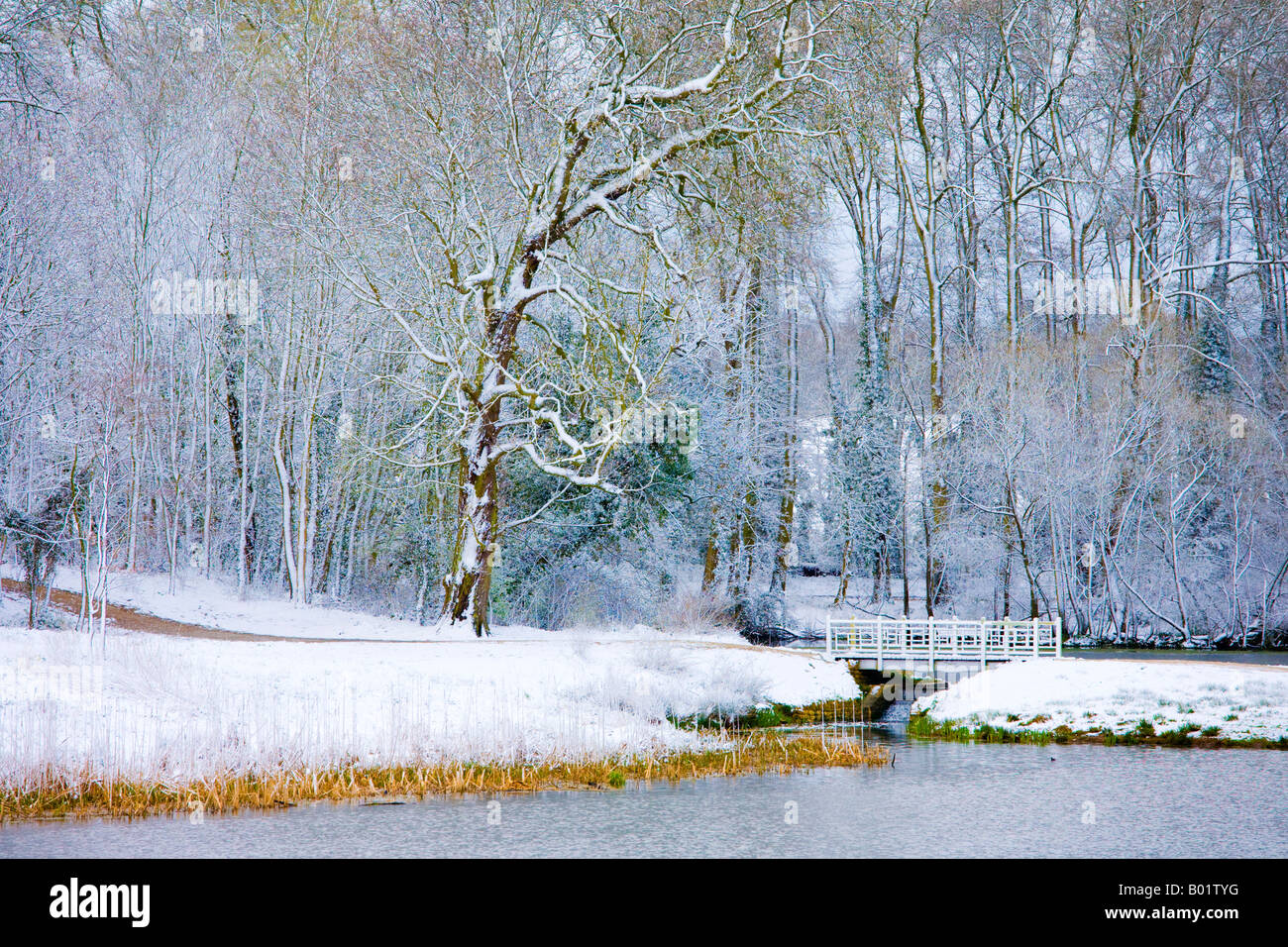 Lydiard Park Swindon in snow Stock Photo - Alamy