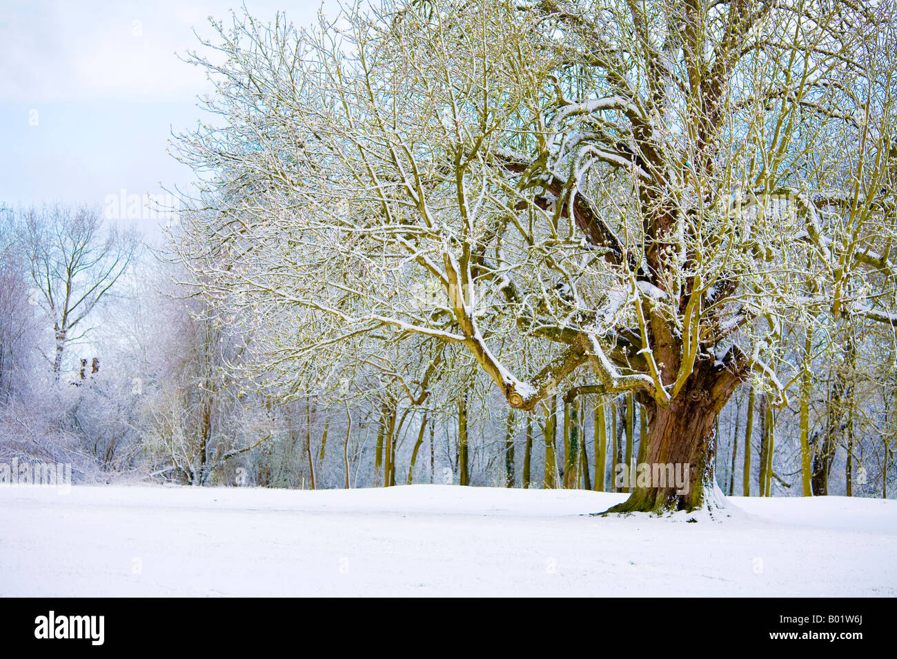 Lydiard Park Swindon in snow Stock Photo - Alamy
