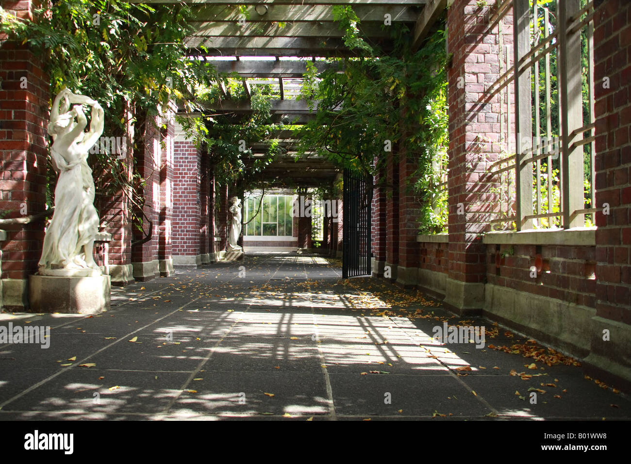 Light shaded hi-res stock photography and images - Alamy