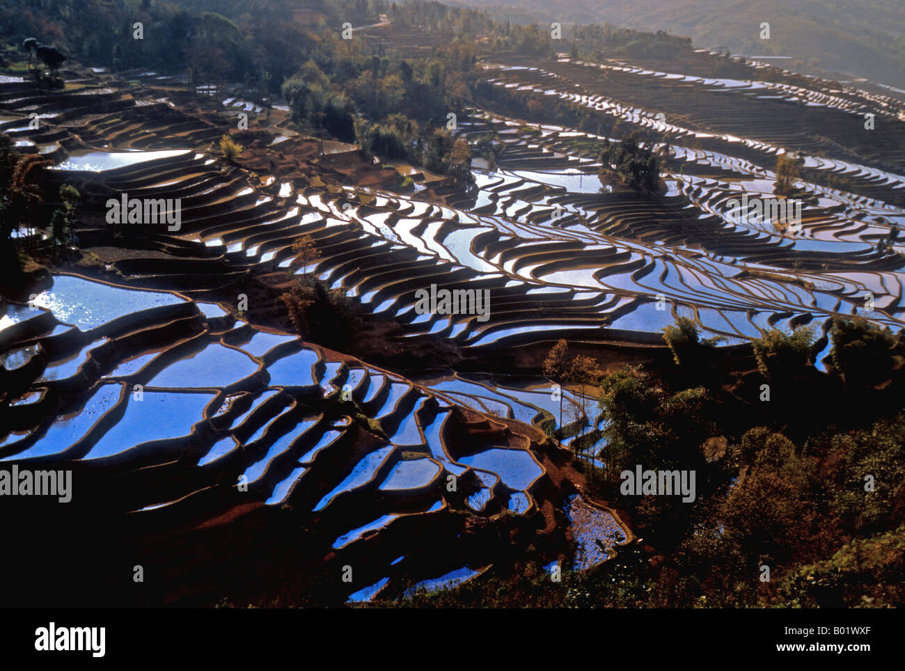 Yuanyang County rice terraces built by the Hani nationality in ...