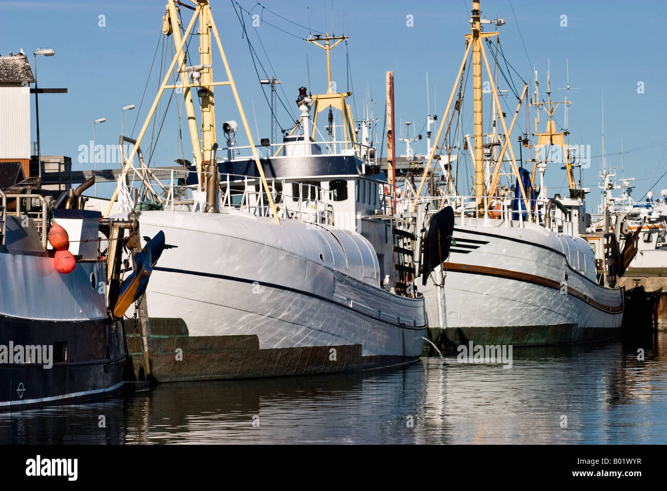 Fishing fleet in a harbour Stock Photo - Alamy