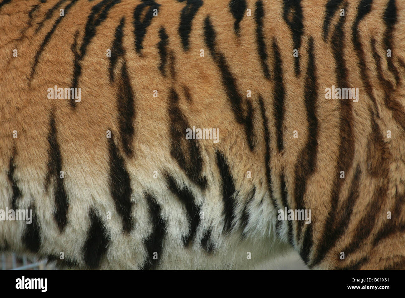 Alert strips hi-res stock photography and images - Alamy