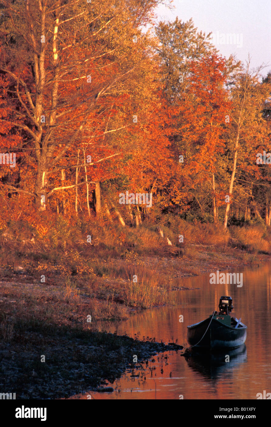 Fall miramichi hi-res stock photography and images - Alamy