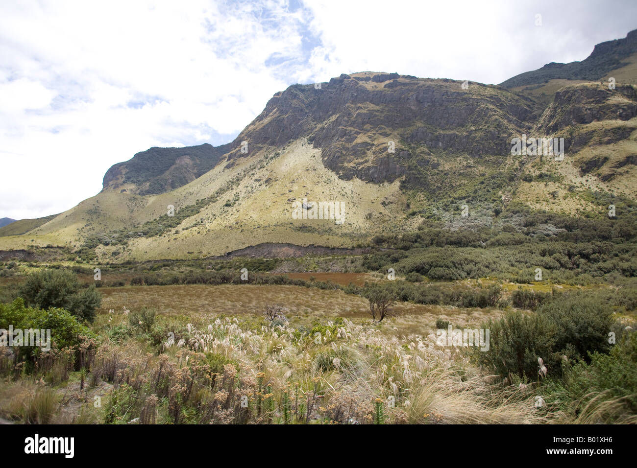 Papallacta pass mountain view, cloudy, 4000m altitude,Ecuador ...