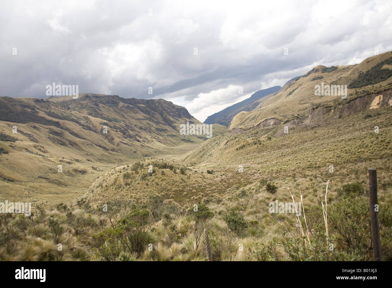 Papallacta pass mountain view, cloudy, 4000m altitude,Ecuador ...