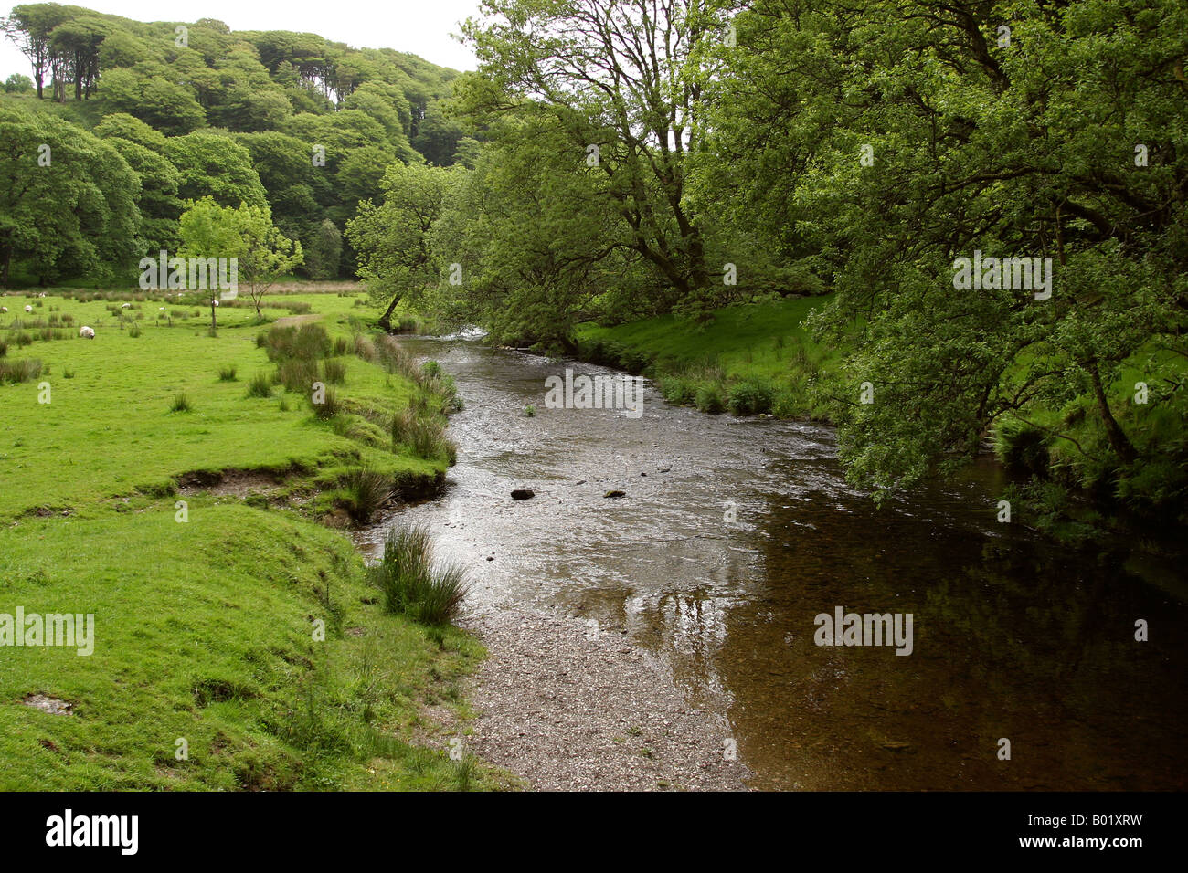 UK Exmoor Somerset Simonsbath River Barle Stock Photo - Alamy