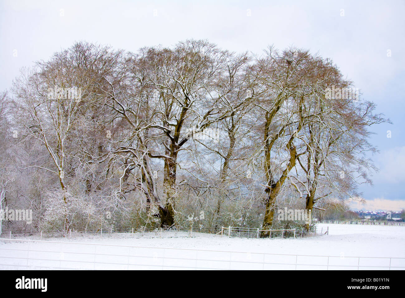 Lydiard Park Swindon with snow Stock Photo - Alamy