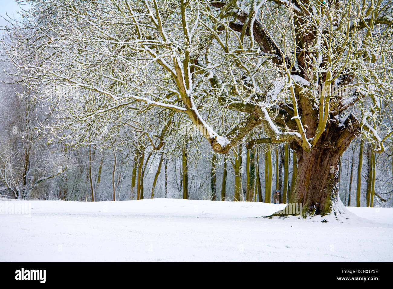 Lydiard Park Swindon in snow Stock Photo - Alamy