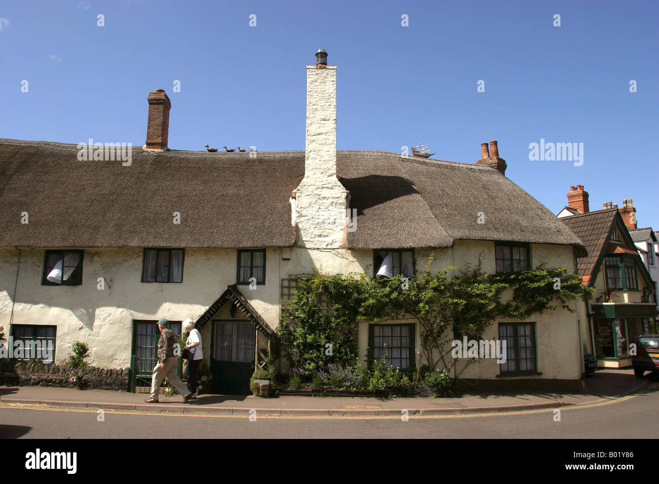 Somerset Porlock Myrtle Cottage Stock Photo - Alamy