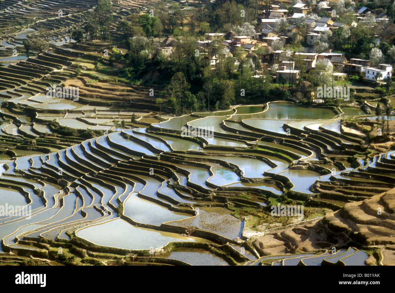Yuanyang County village and rice terraces built by the Hani nationality ...