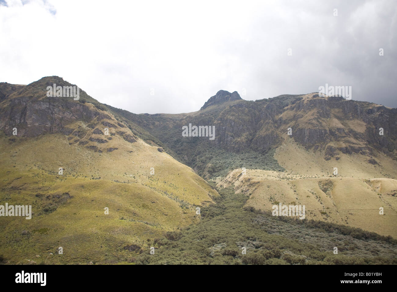 Papallacta pass mountain view, cloudy, 4000m altitude,Ecuador ...