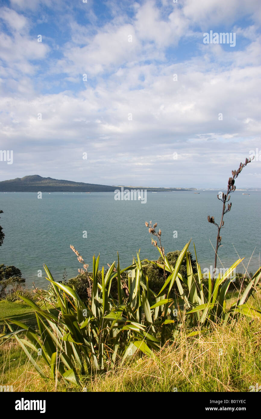 Rangitoto Island view Auckland New Zealand Stock Photo - Alamy