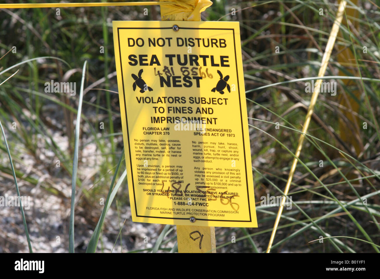 Turtle warning sign Florida USA Stock Photo - Alamy