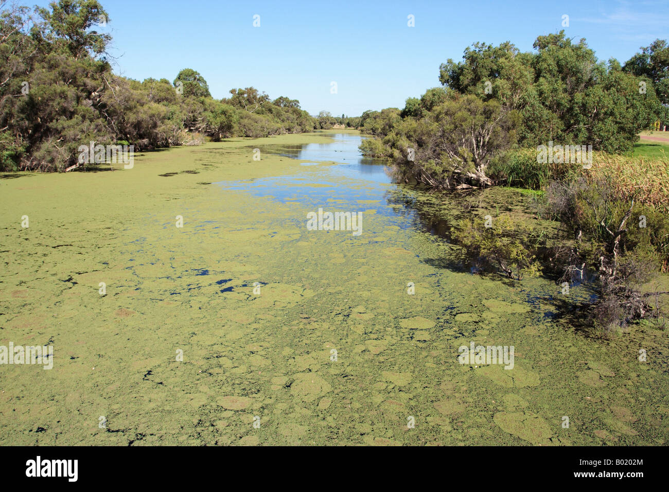 Canning River Regional Park near Perth, Western Australia Stock Photo ...