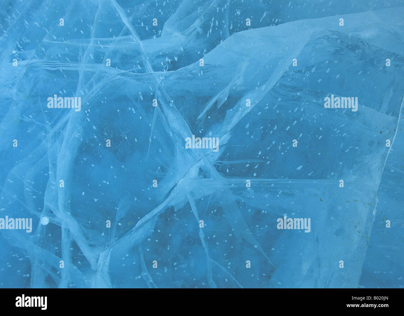 Antarctica ice closeup Stock Photo - Alamy