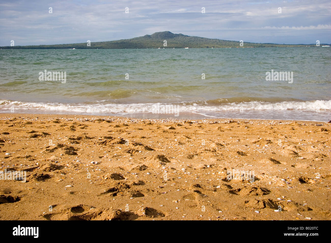 Rangitoto Island view from beach Auckland New Zealand Stock Photo - Alamy