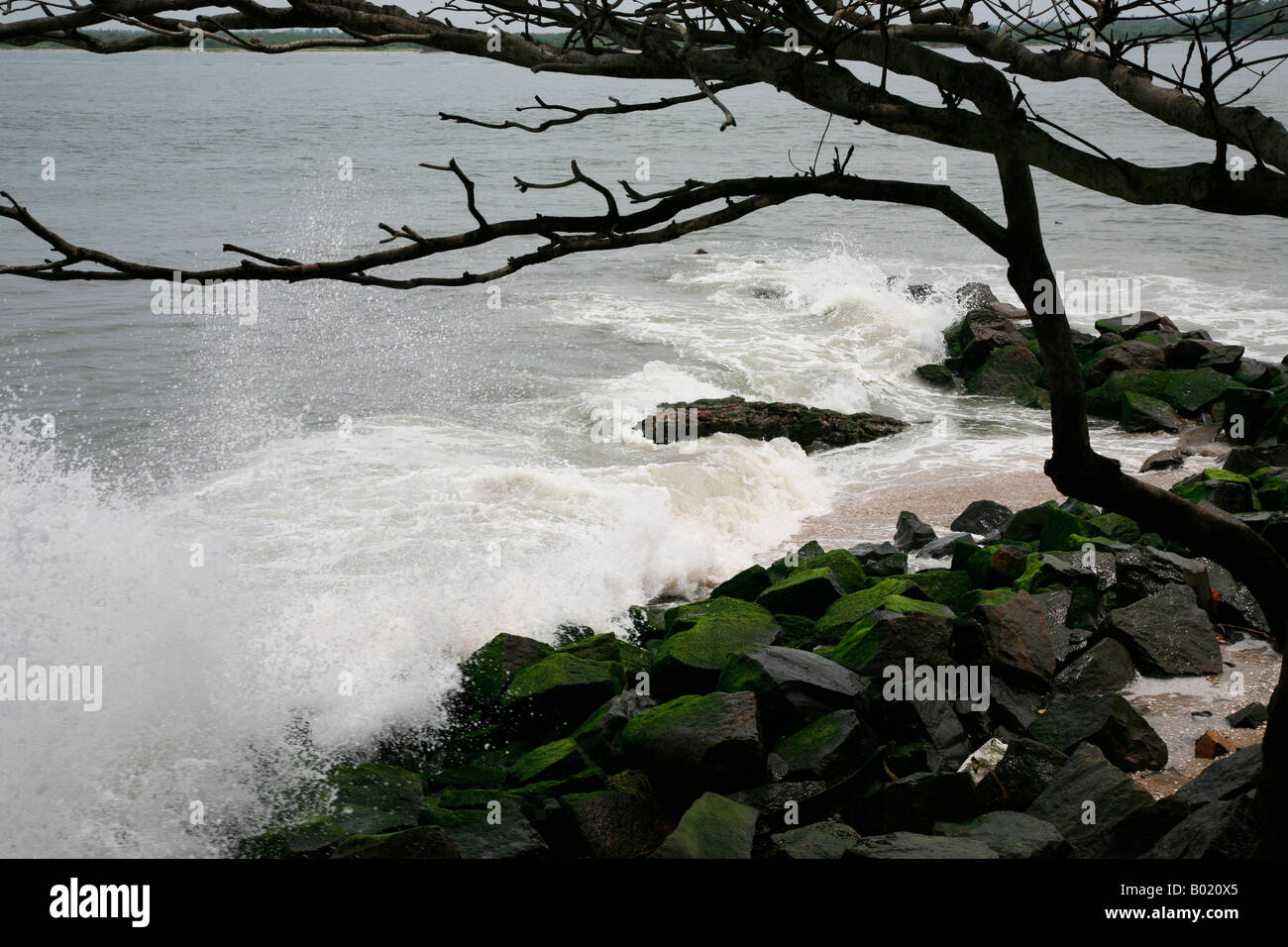 A view from fort kochi beach,kerala,india Stock Photo - Alamy