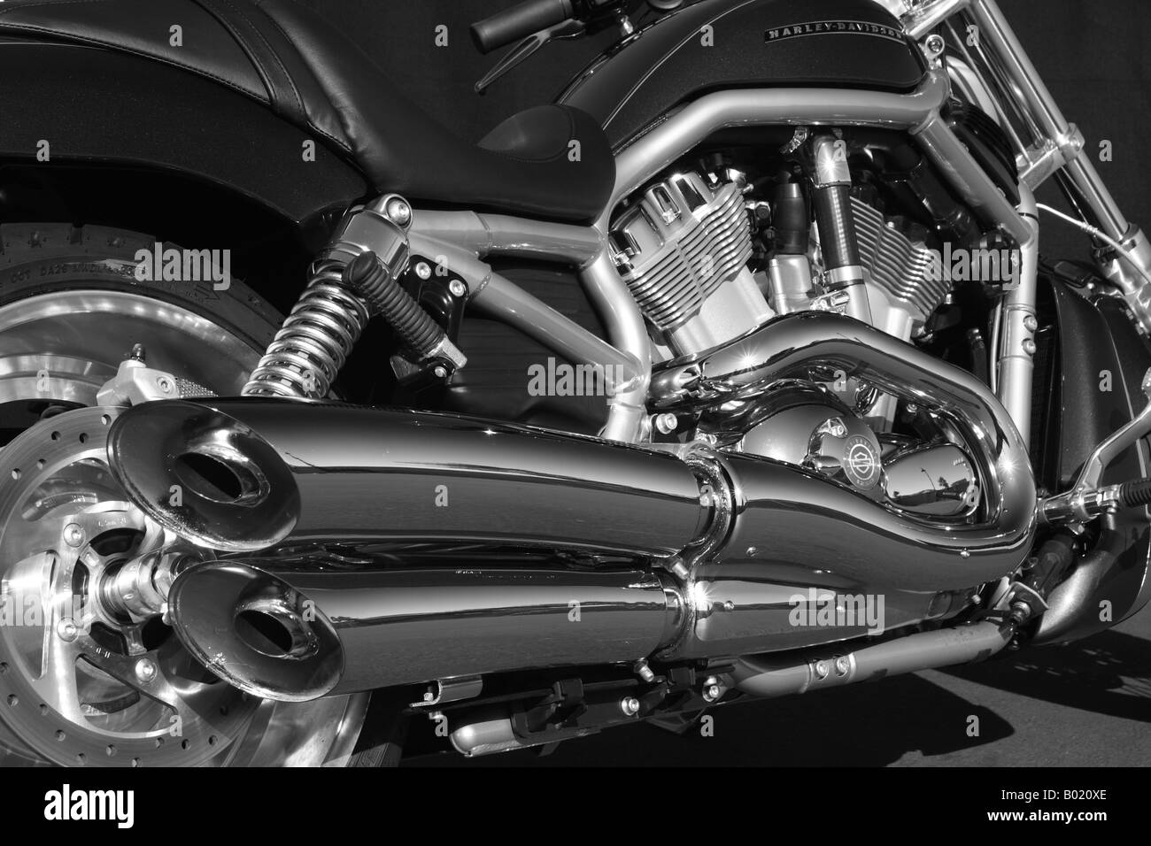 Harley v rod Black and White Stock Photos & Images - Alamy