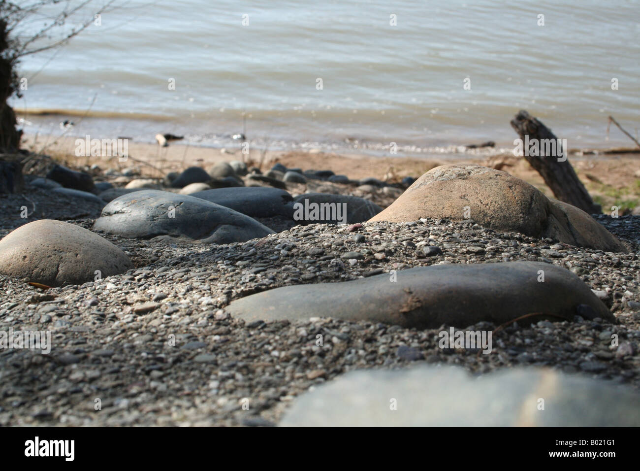 River rock path to water, Sacramento, California, United States Stock ...